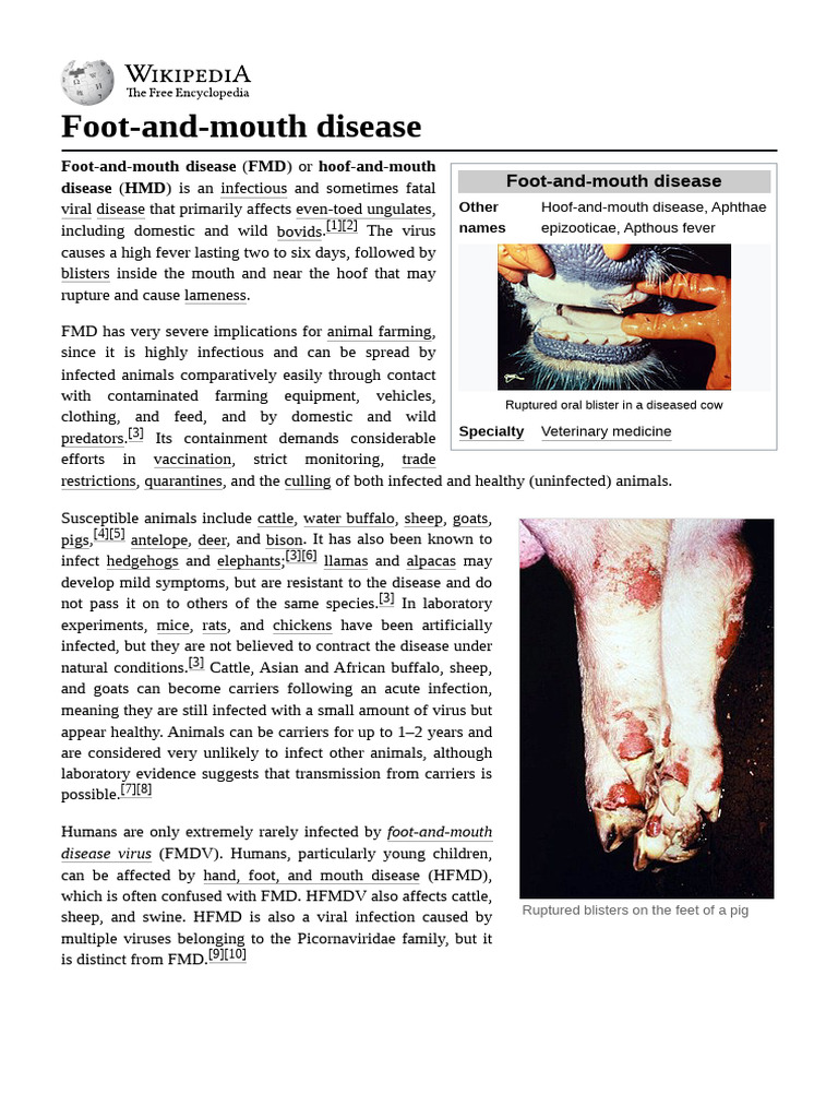 Foot-and-Mouth Disease Overview | PDF | Microbiology | Immunology