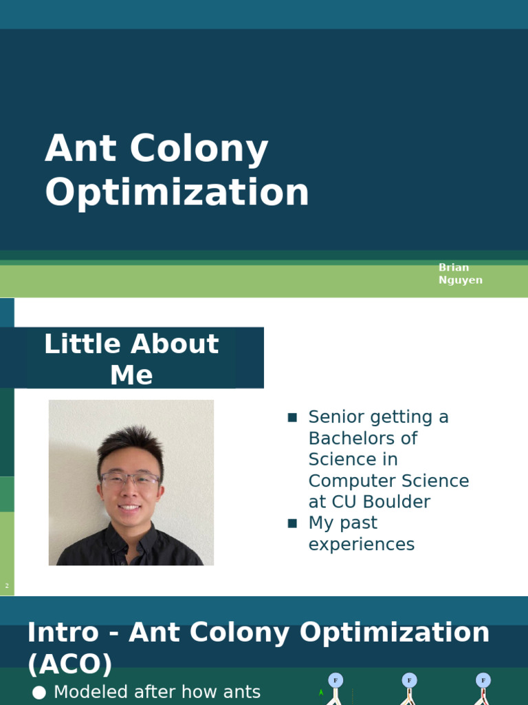 Ant Colony Optimization Guide | PDF | Computational Science | Algorithms