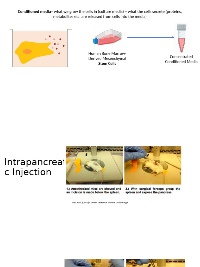 iPAN injection | PDF