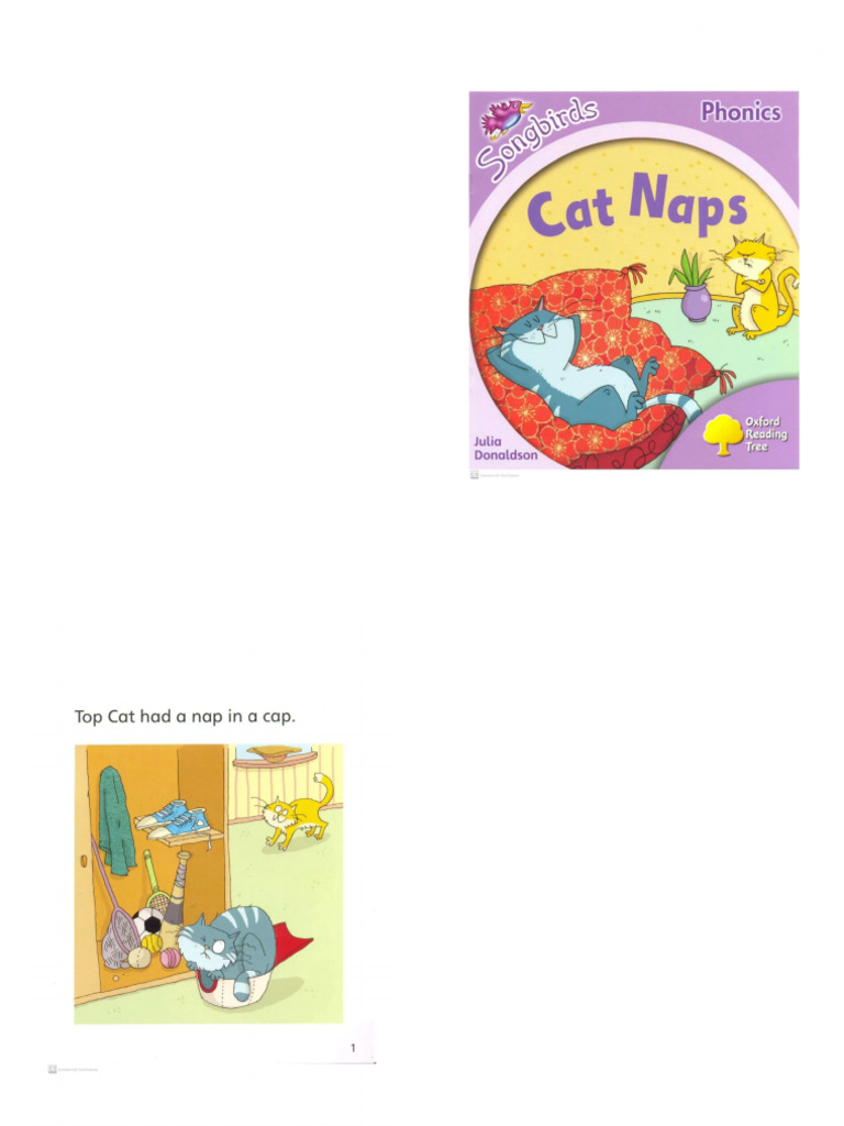 Cat Naps - Flipbook by Liew Siew Chin _ FlipHTML5 booklet | PDF