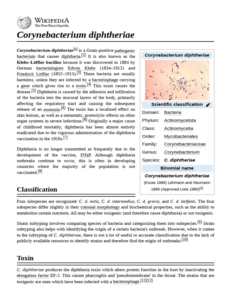 Corynebacterium diphtheriae Overview | PDF | Microbiology | Immunology