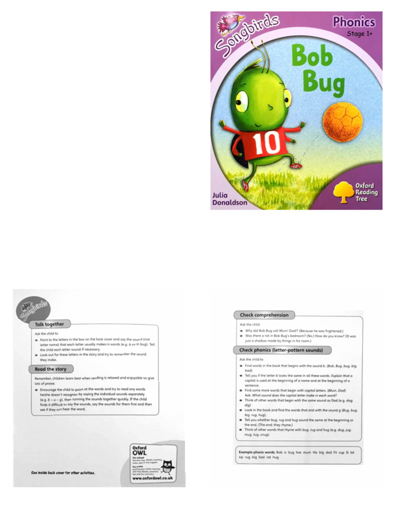 Stage 1+ SP - 3 Bob Bug (S) - Flipbook by ylseow03 _ FlipHTML5 booklet | PDF