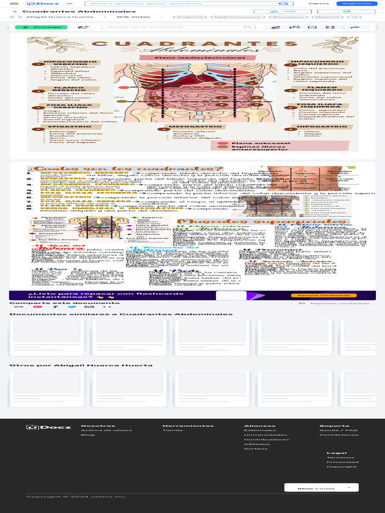 Anatomía de los Cuadrantes Abdominales | PDF | Abdomen | Intestino grueso