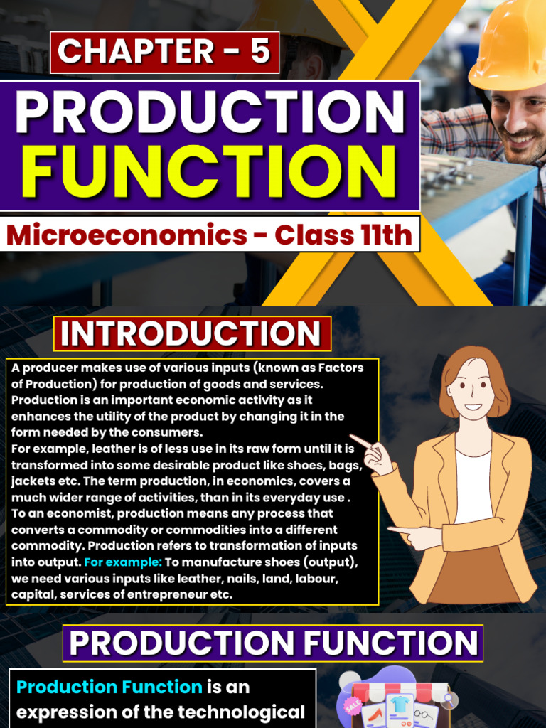 Microeconomics: Production Function Explained | PDF