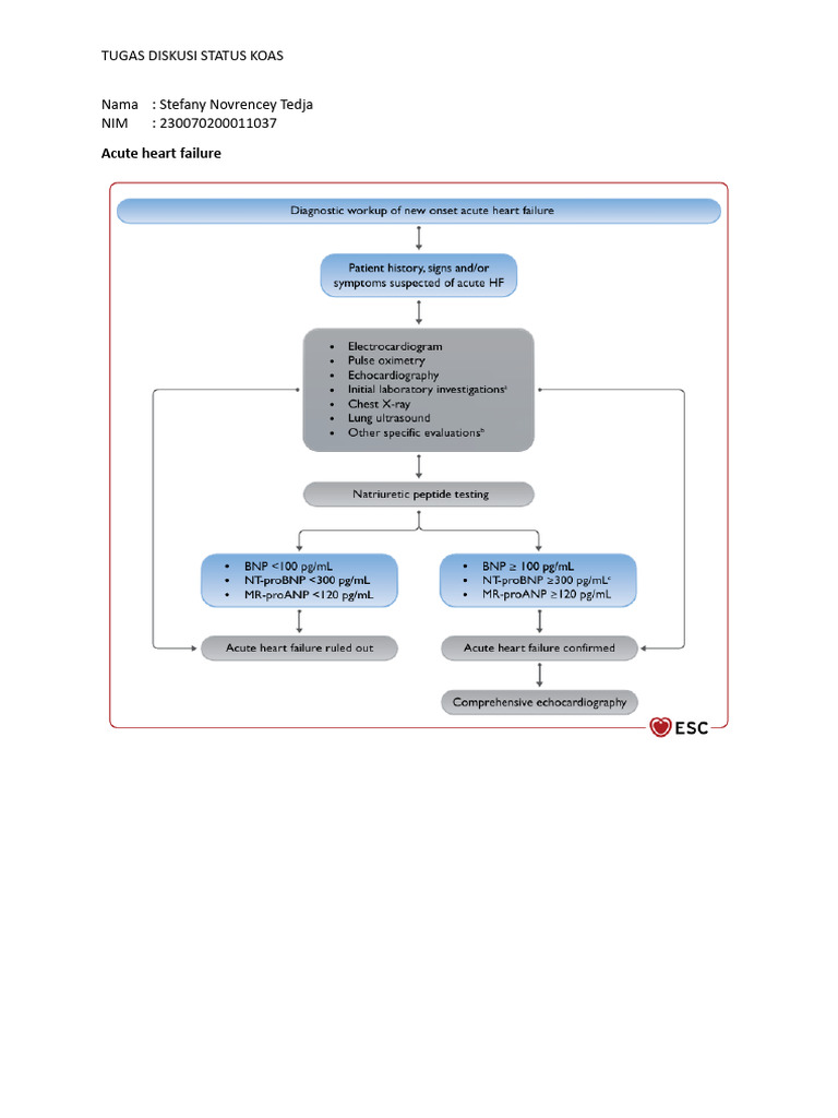 Stefany_PR statko TLA | PDF