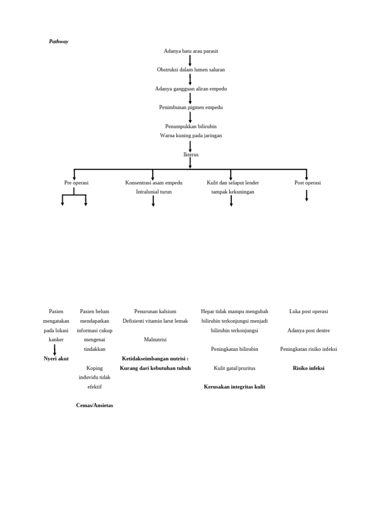 Pathway Ca. Caput Pankcreas | PDF