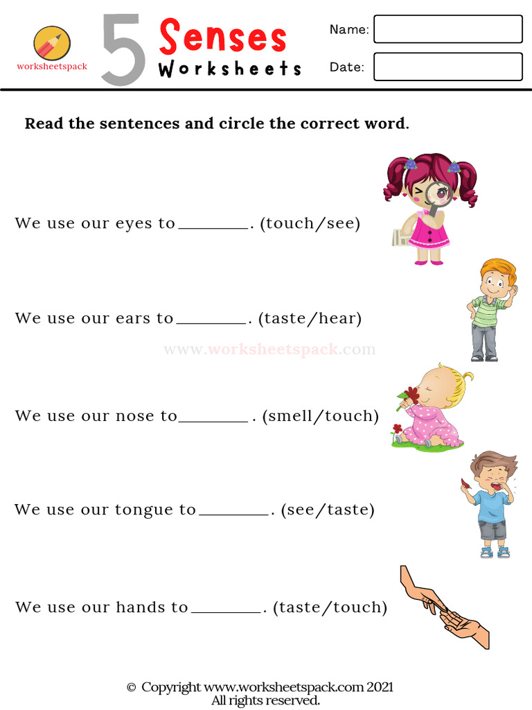 The 5 Senses Worksheets Read The Sentences and Circle The Correct Word ...
