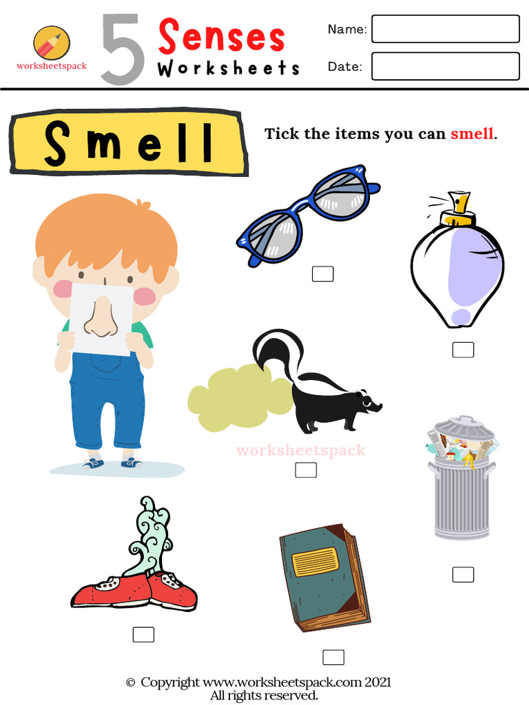 The 5 Senses Worksheets Smell | PDF