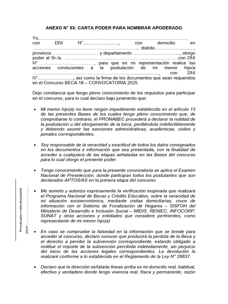 ANEXO N°03 - Editado | PDF