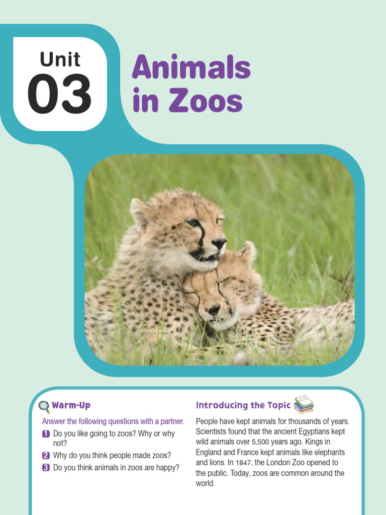 Debate Pro Junior 1 - Unit 3 | PDF | Zoo