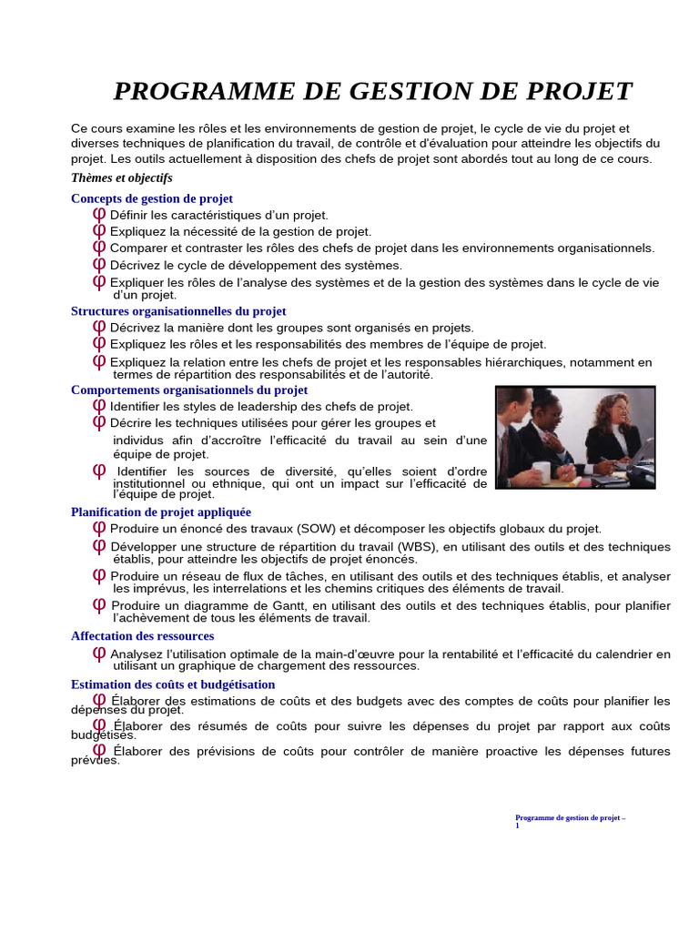 Programme de Gestion de Projet | PDF | Gestion de projet | Gestion des risques