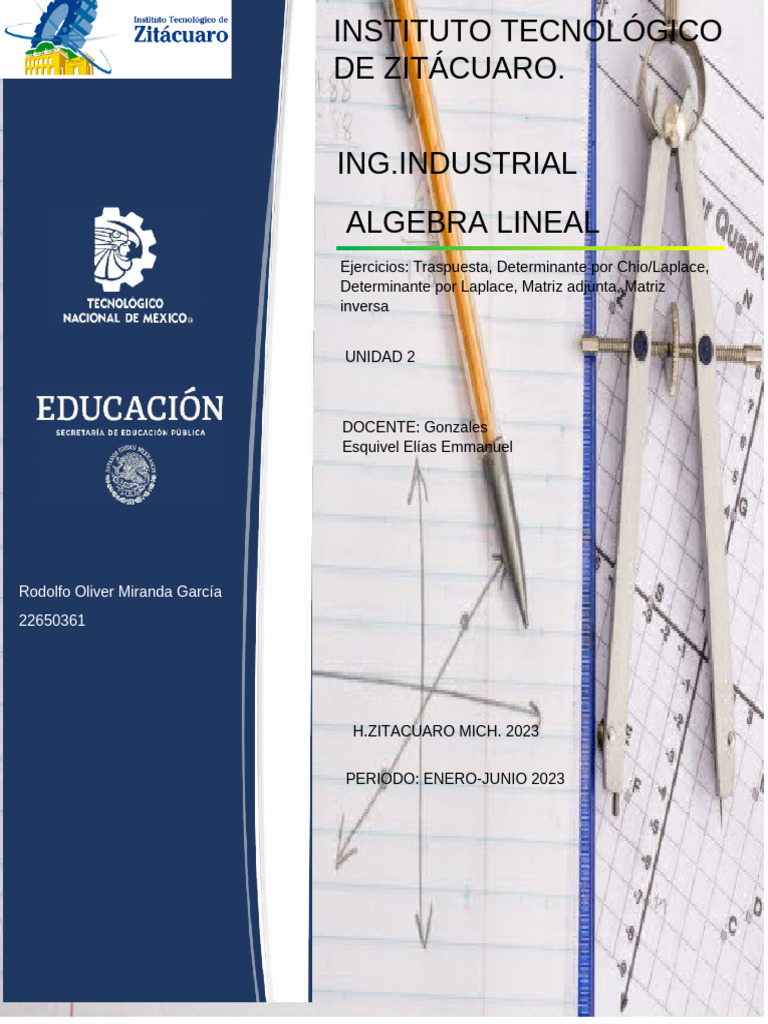 Tarea Adj e Inv | PDF | Matriz (Matemáticas) | Determinante
