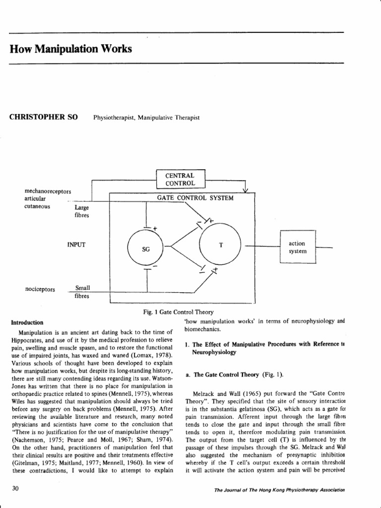 How Manipulation Works | PDF | Pain | Anatomical Terms Of Motion