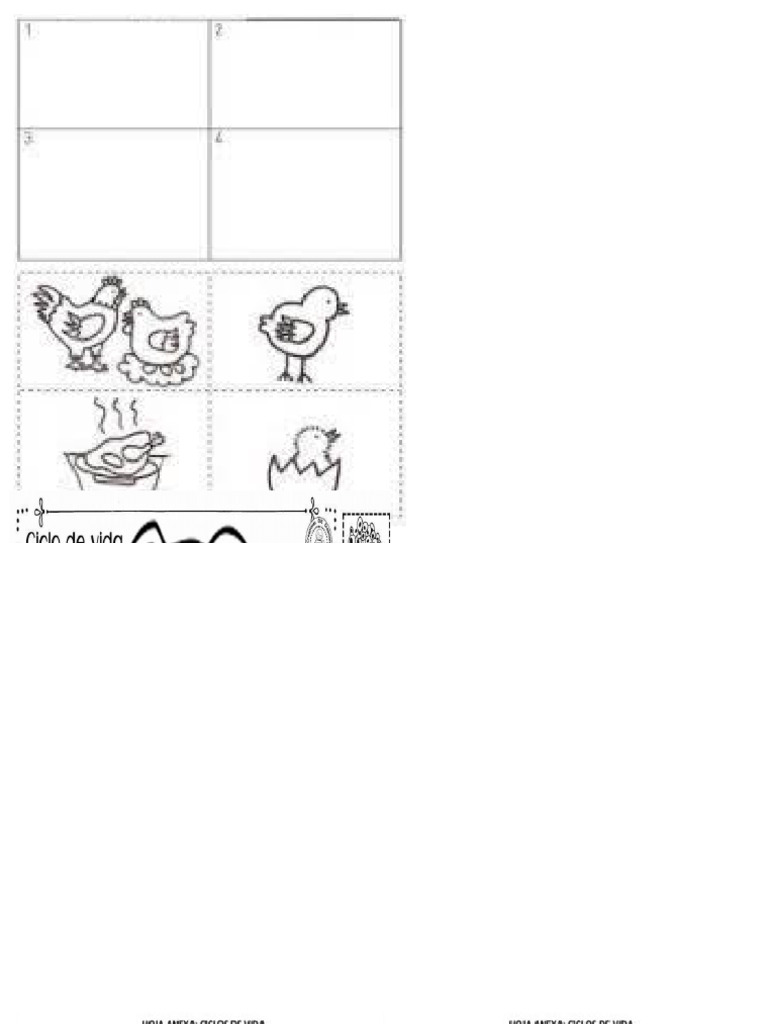 Hoja de Trabajo CN | PDF