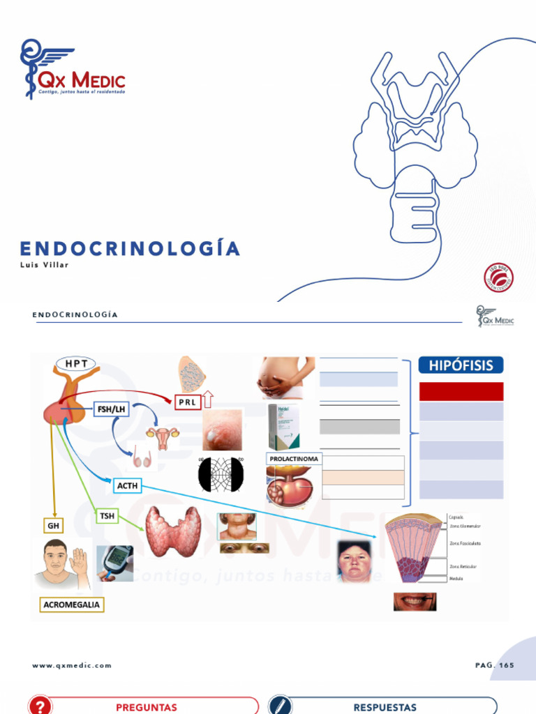 Pi24 - Er - Endocrinología | PDF