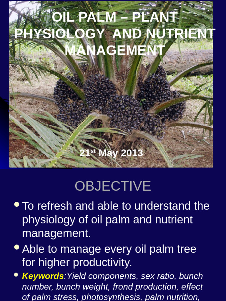 Oil Palm Physiology and Nutrient Management | PDF | Fertilizer | Root