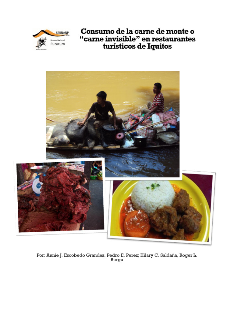 Carne de Monte Iquitos | PDF | Carne | Perú
