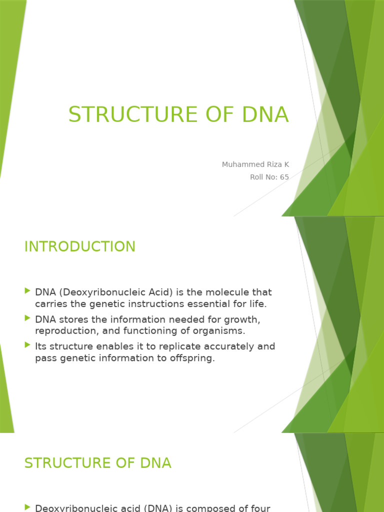 Structure of DNA | PDF | Histone | Dna