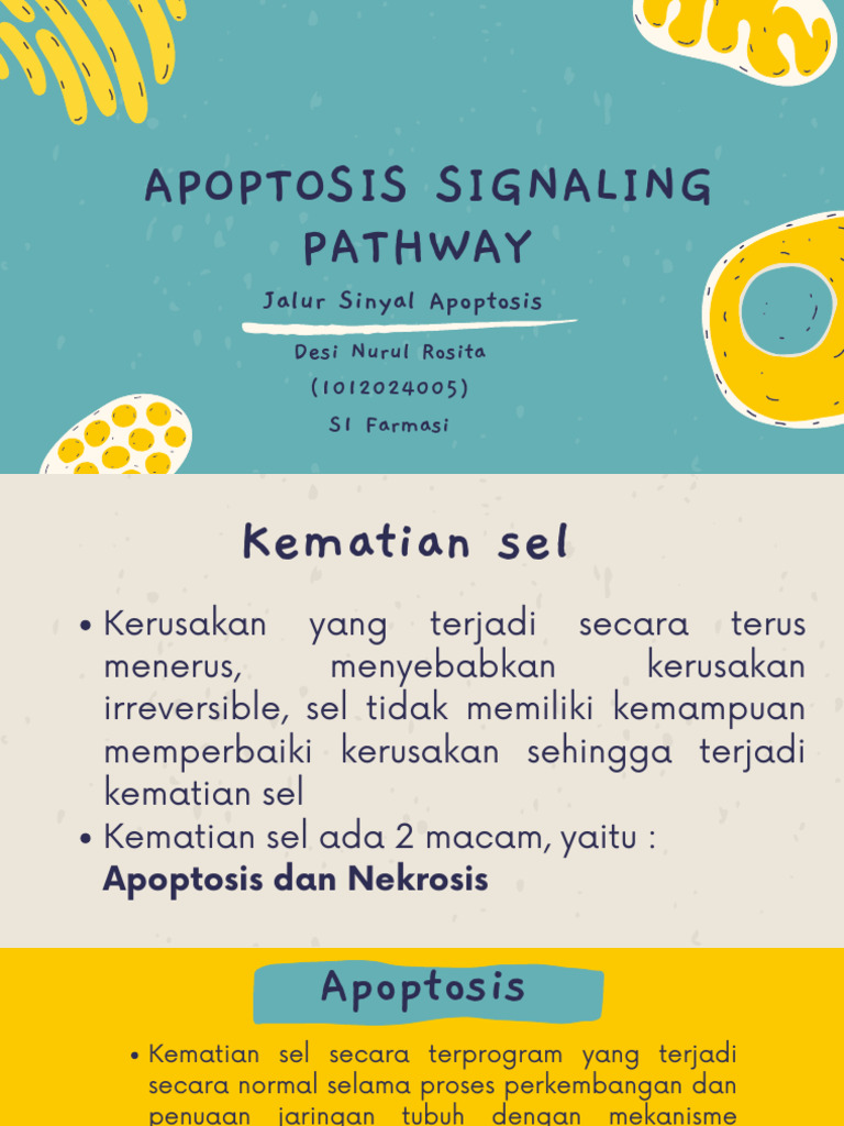 Apoptosis 20241125 160556 0000 | PDF