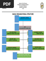 BADAC Organizational Chart | PDF