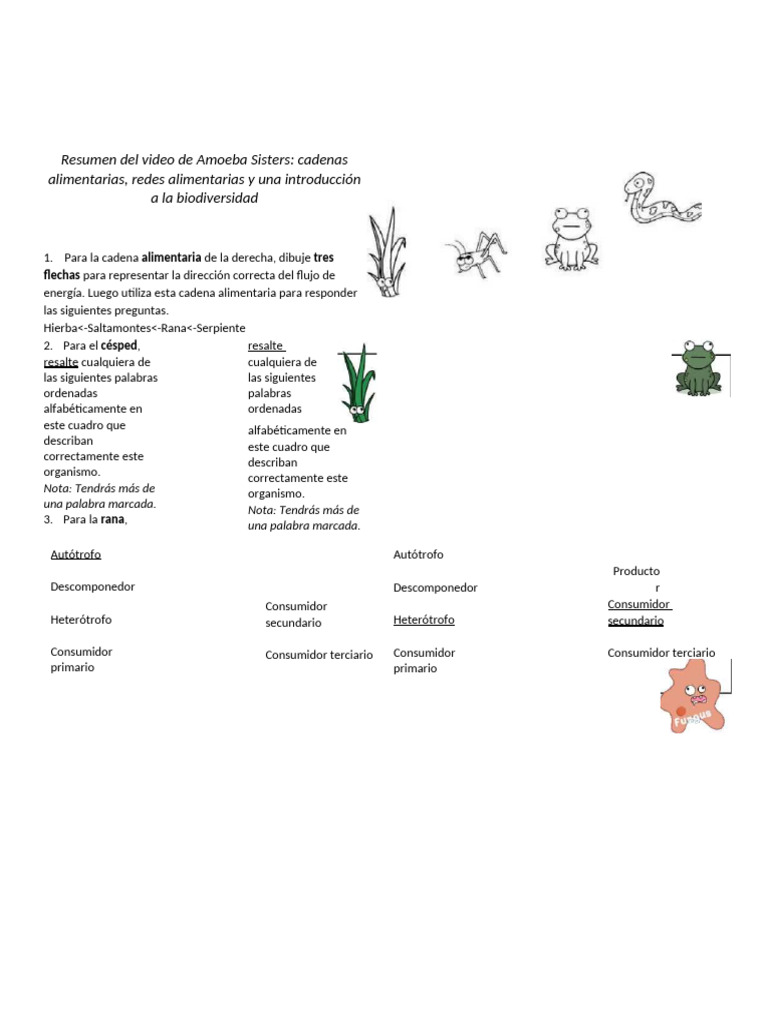 Copia de AS Redes Alimentarias.docx | PDF | Red alimentaria | Ecología