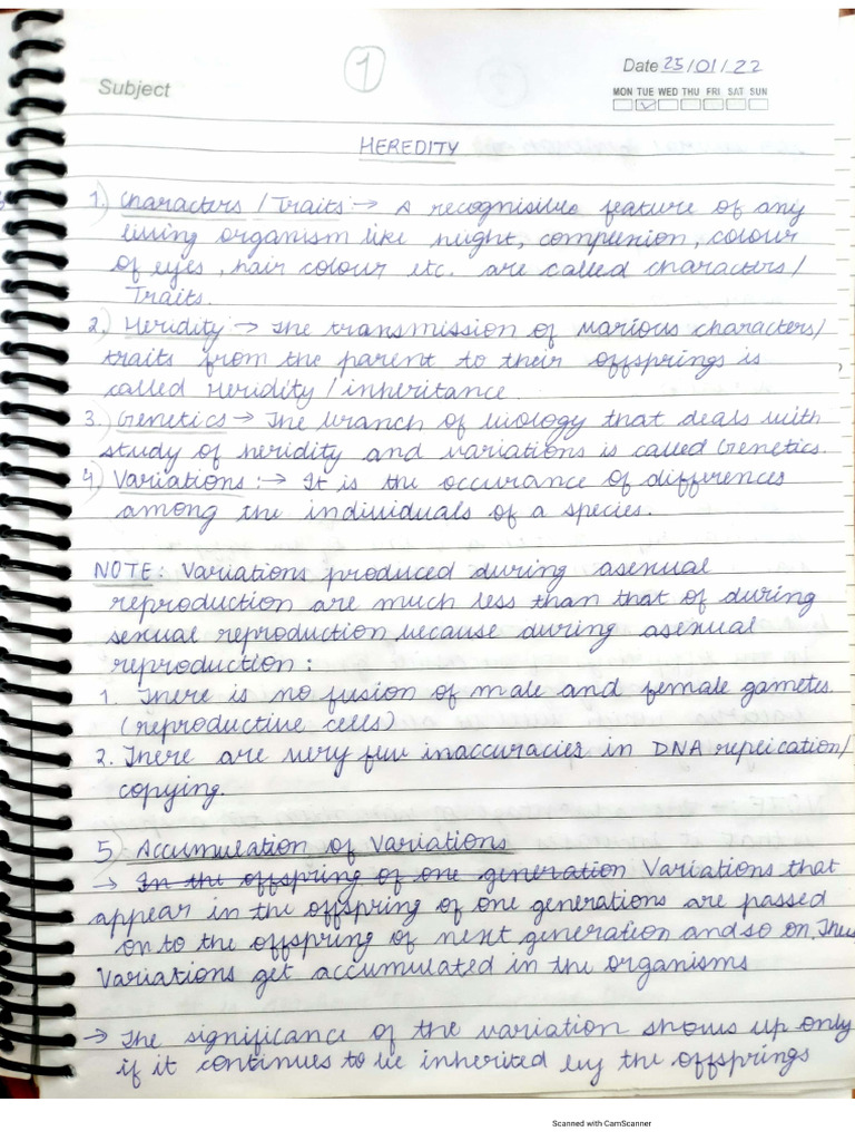 Heredity Notes | PDF
