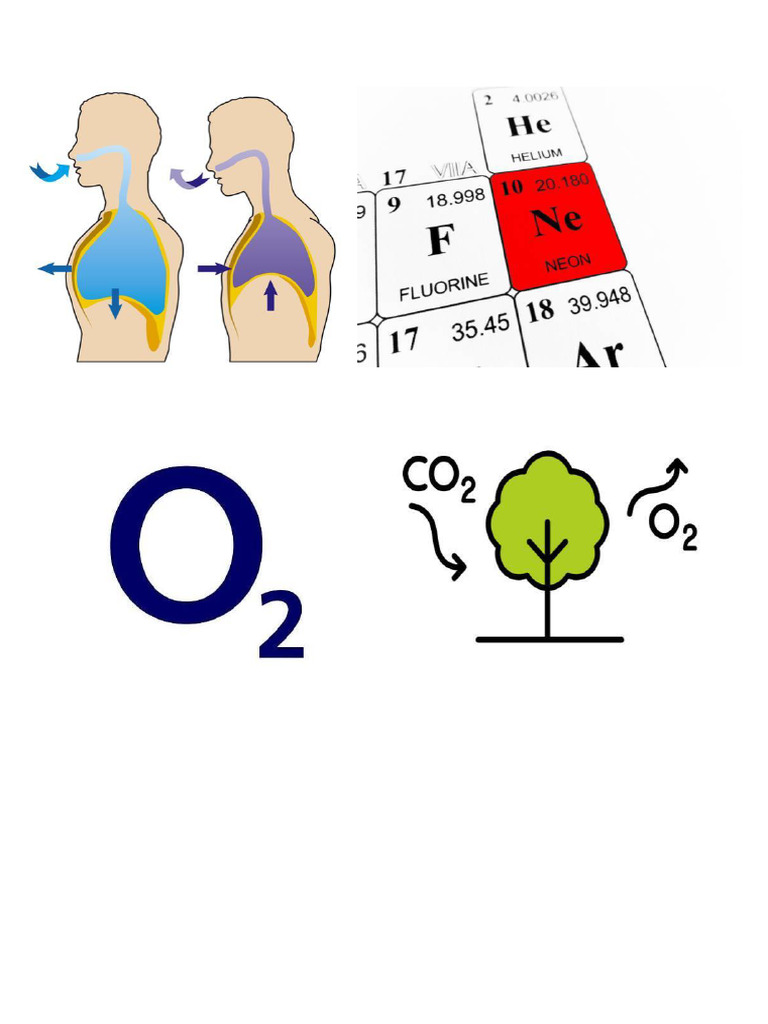 Printed Materials - Grade 6 | PDF