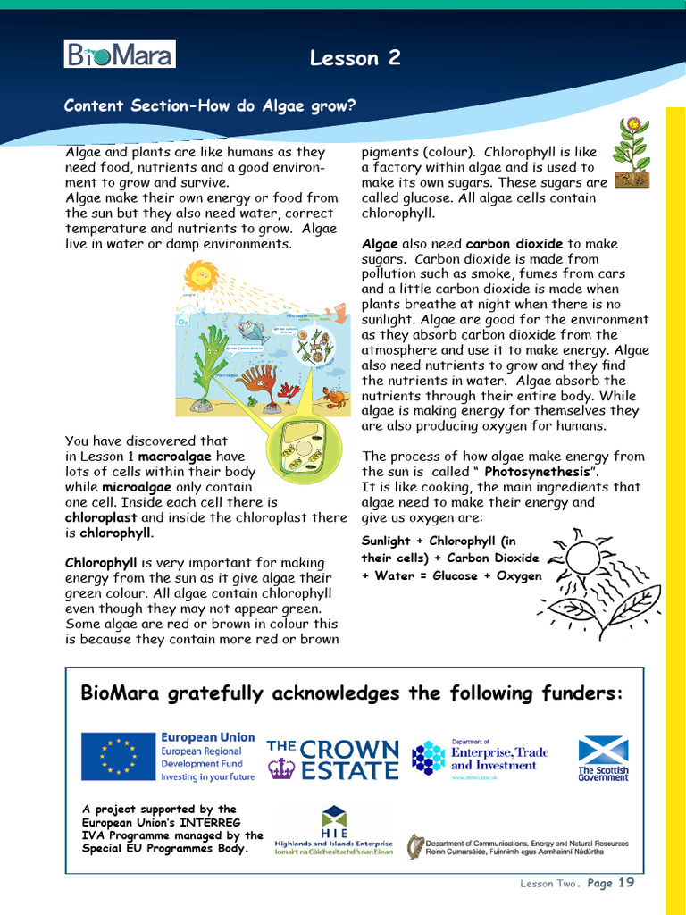 Lesson 2 - How Algae Grow | PDF | Photosynthesis | Algae