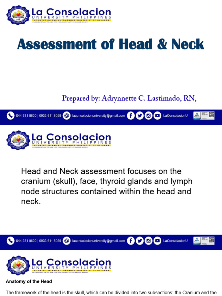 Assessment of Head and Neck | PDF | Neck | Skull