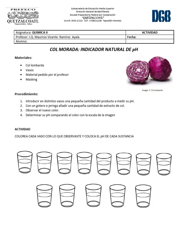 Practica de Col Morada | PDF