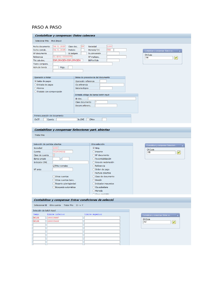 Paso A Paso PRD | PDF