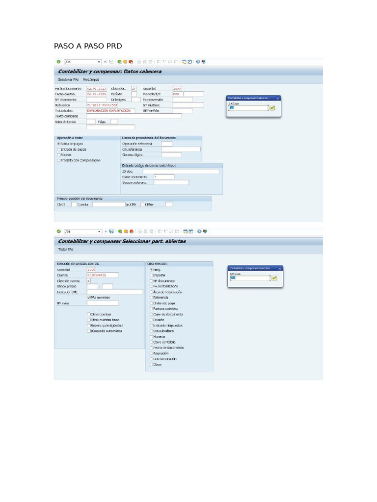 Paso A Paso PRD - 1 | PDF