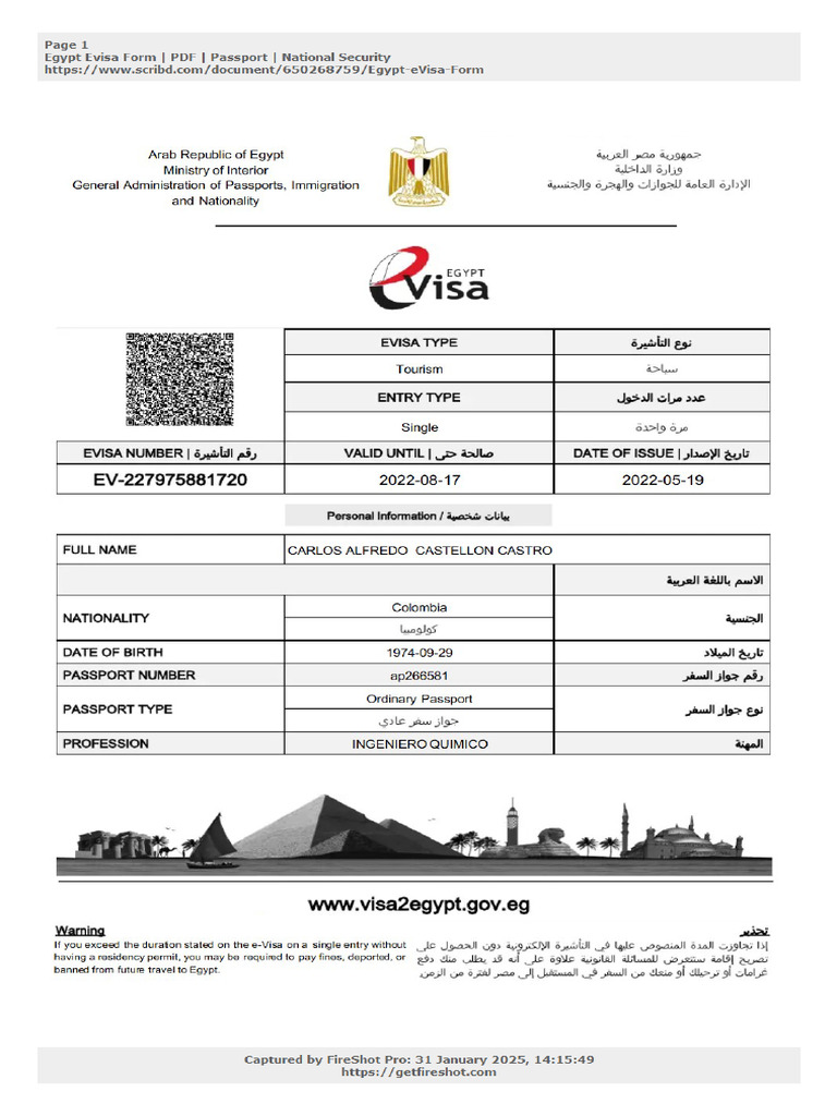 FireShot Capture 002 - Egypt Evisa Form I PDF I Passport I National ...