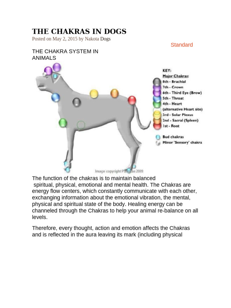 The chakras in dogs.docx | PDF | Chakra | Senses