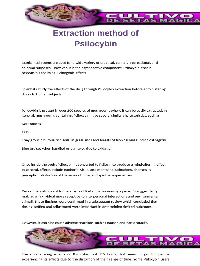 Psilocybin Extraction Method Guide | PDF | Psilocybin | Psychoactive Drugs