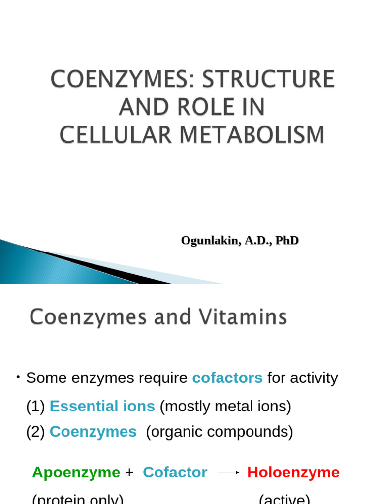 BCH 341 - Coenzymes - Structure and Role | PDF | Nicotinamide Adenine Dinucleotide | Cofactor ...