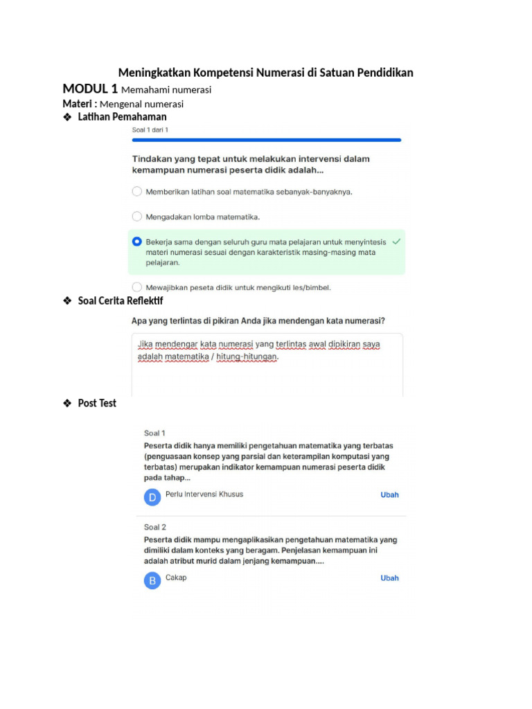 Intervensi Meningkatkan Kompetensi Numerasi | PDF