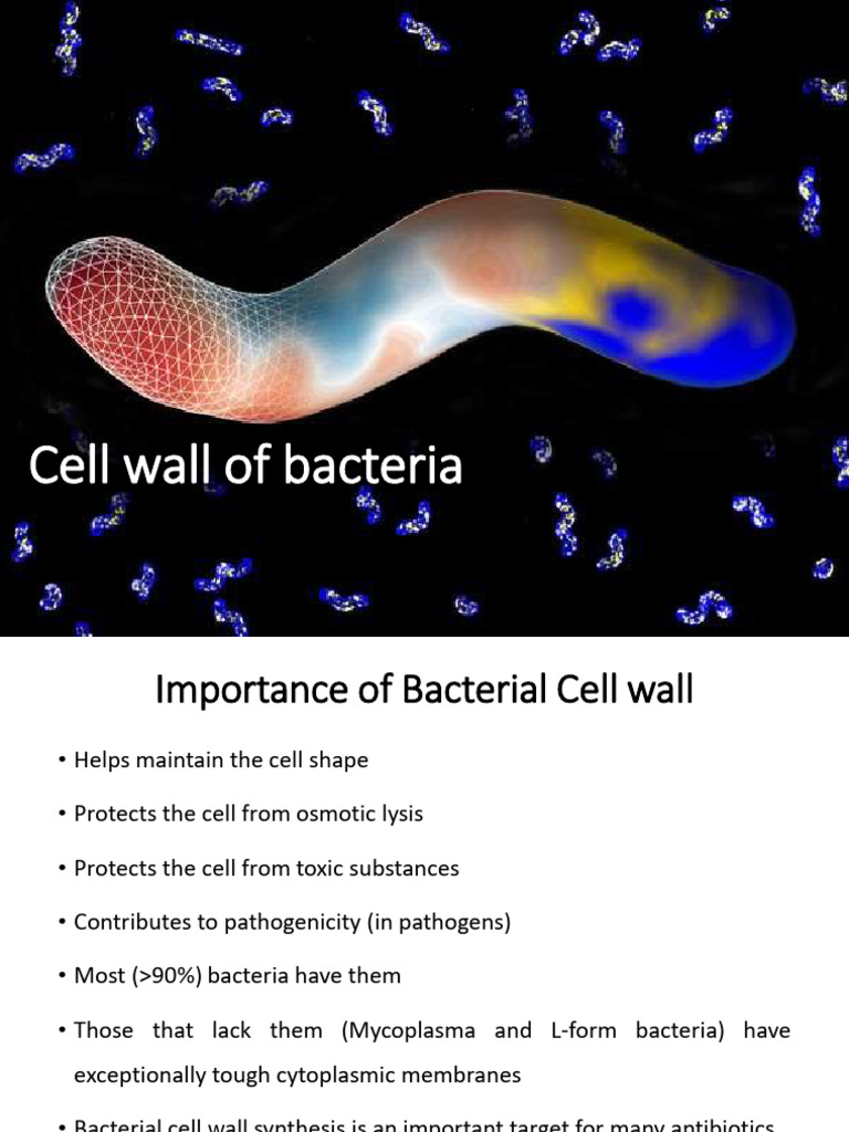 Bacterial Cell Wall Structure and Function | PDF | Lipopolysaccharide ...