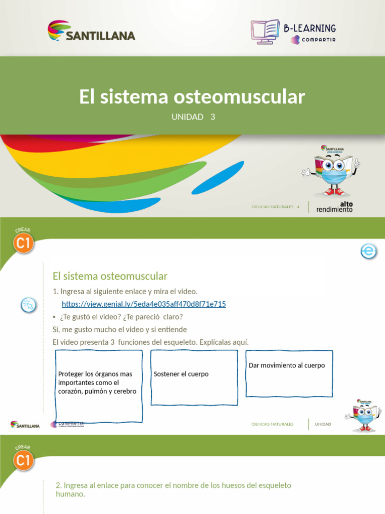 El Sistema Oseo | PDF
