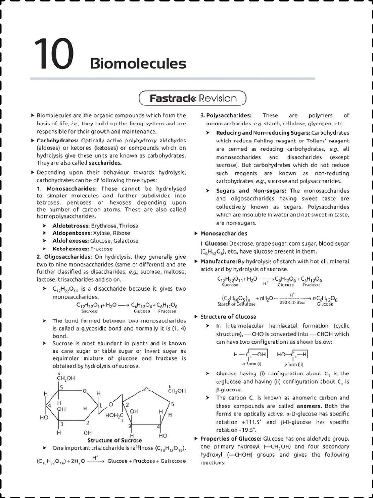 10 Biomolecules-12th | PDF
