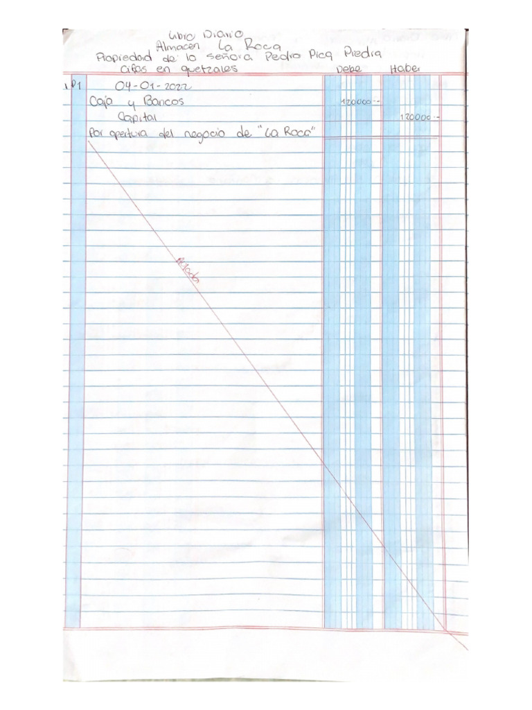 Libro DIario Almacen La Roca | PDF