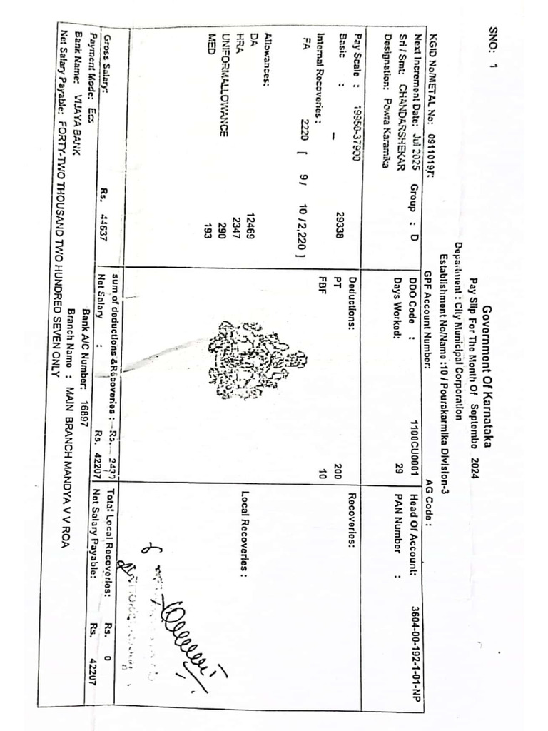 Salary Slip PDF | PDF