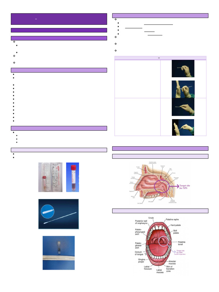 MODX311 - Wk8 Lab NPS and OPS Specimen Collection | PDF | Personal ...