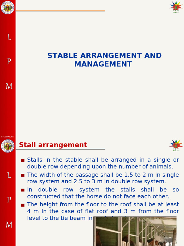 Horse Stable Design and Management Guide | PDF | Horse Breeding | Mare