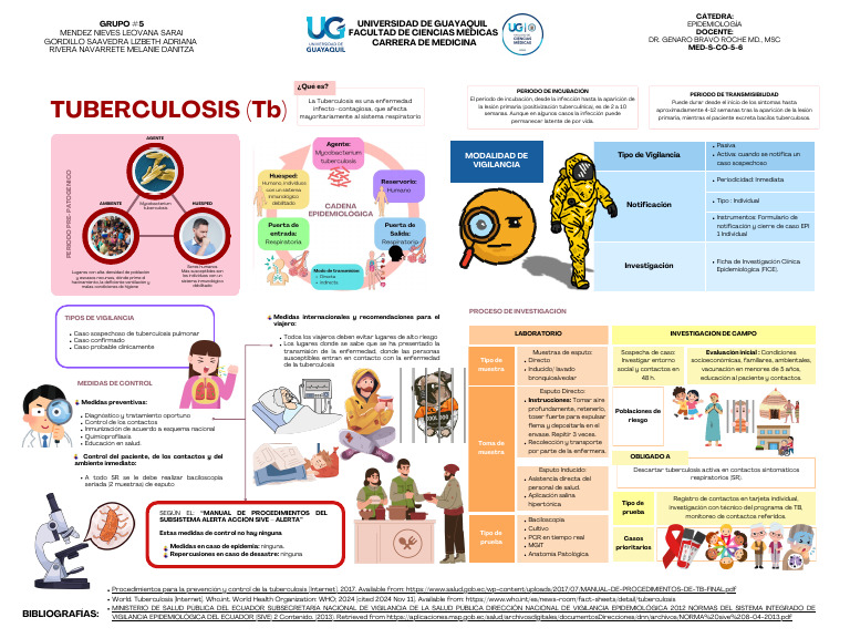 Infografía sobre Tuberculosis y Vigilancia | PDF | Tuberculosis ...