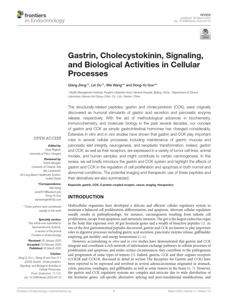 Gastrin, Cholecystokinin, Signaling, and Biological Activities in ...