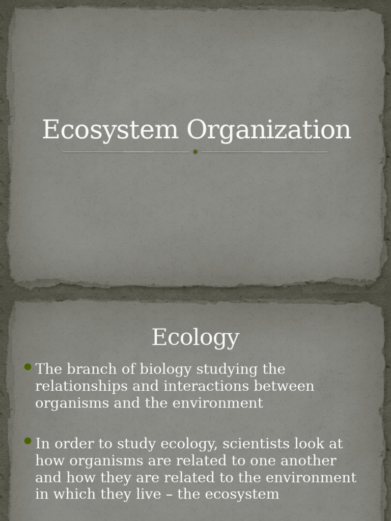 DLC-1291-Ecosystem-Organization | PDF | Ecosystem | Natural Environment