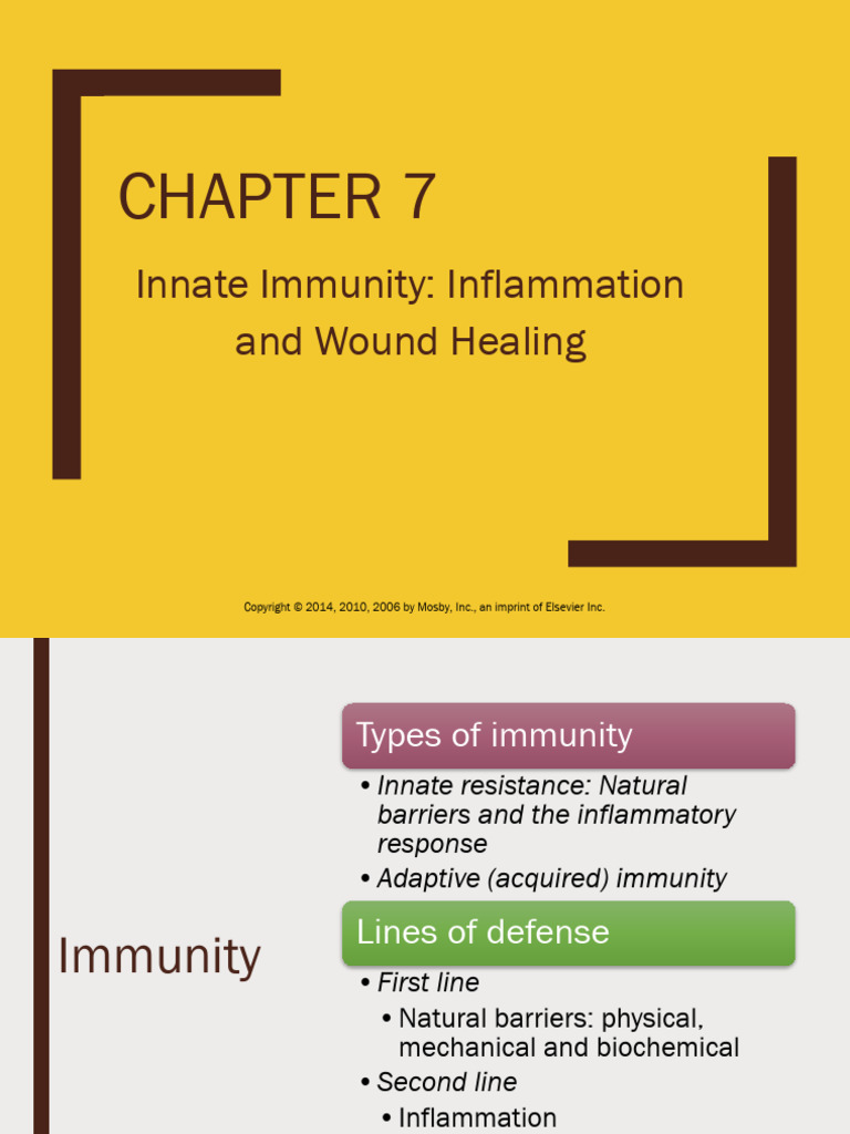 Innate Immunity | PDF | Wound Healing | Inflammation