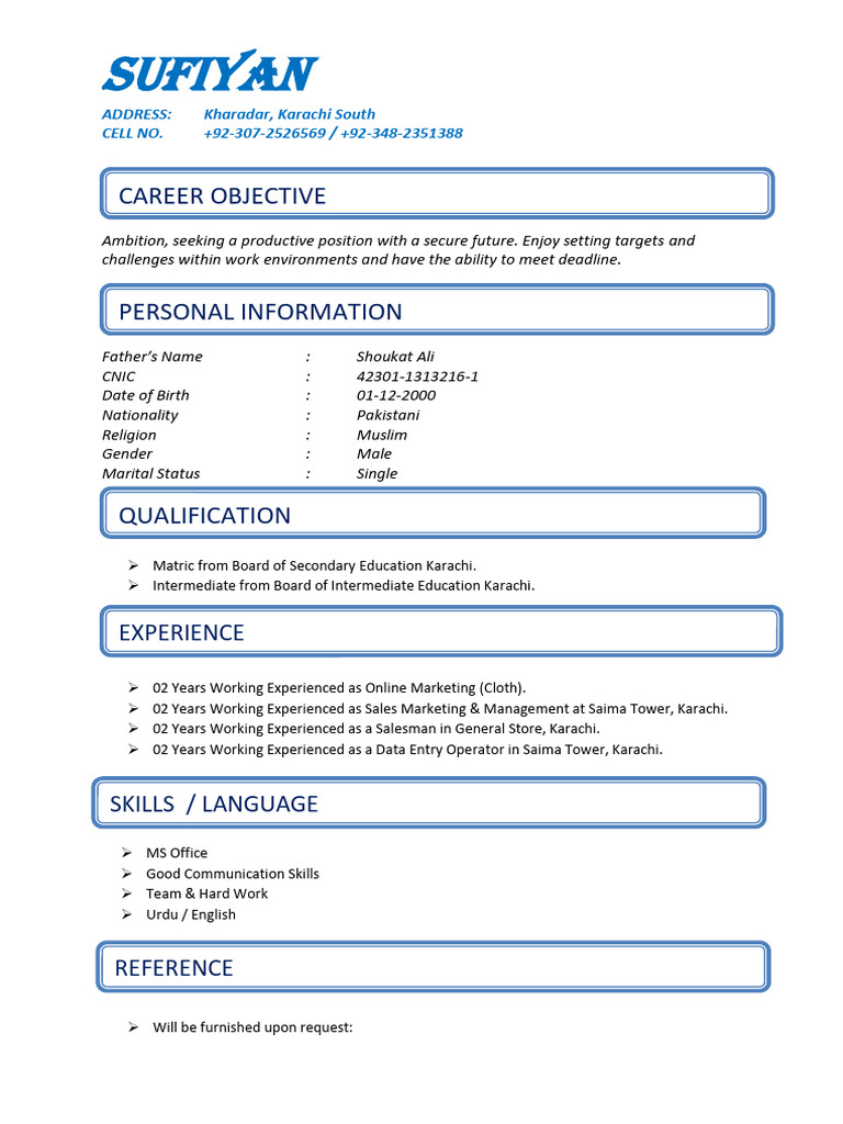 Sufiyan CV | PDF