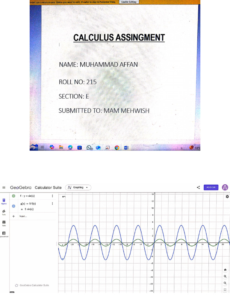 M.Affan (215) Calculus Assignment | PDF